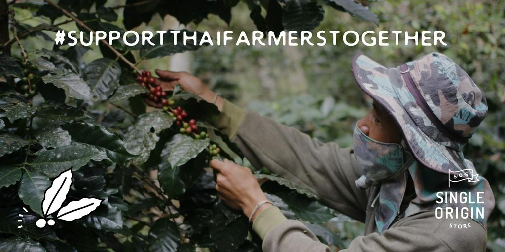 Single.Origin.Store, ร้านค้าออนไลน์ | Shopee Thailand