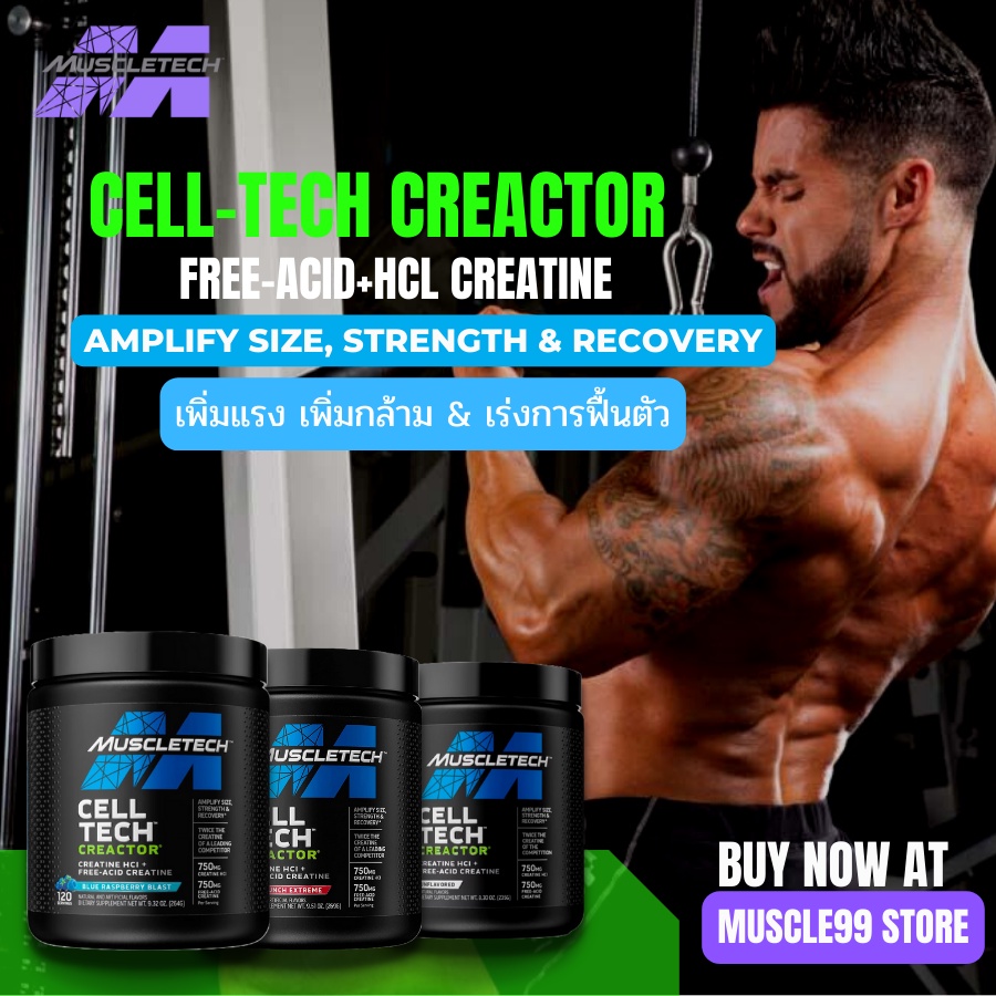 MuscleTech Cell-Tech 3 Lbs (TROPICAL CITRUS PUNCH) Creatine Monohydrate ...