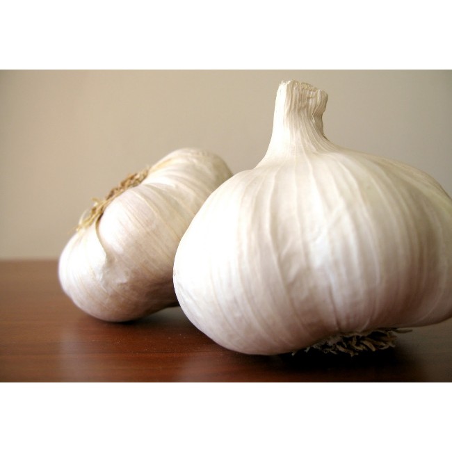 Herbal one Garlic 100 capsules การ์ลิค กระเทียมสกัดชนิดแคปซูล 1 ขวด ...