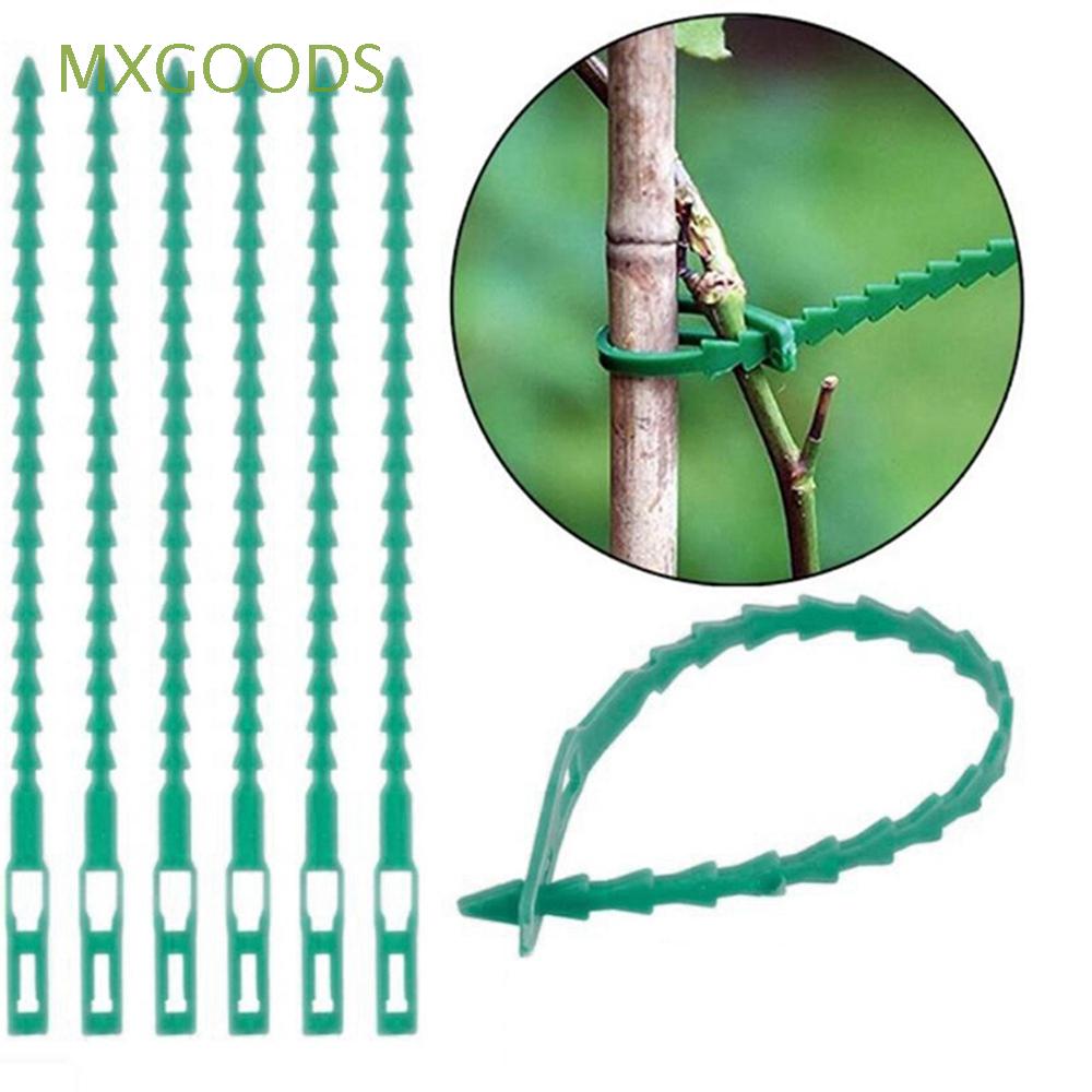 Mxgoods สายรัดต้นไม้พลาสติก 50 100 ชิ้น - mxgoods.th - ThaiPick