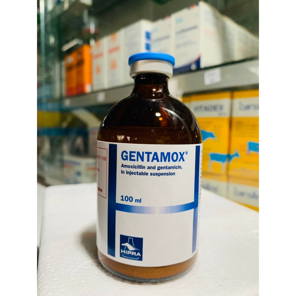 เจนต้าม็อก Gentamox 100ml - peebeery - ThaiPick