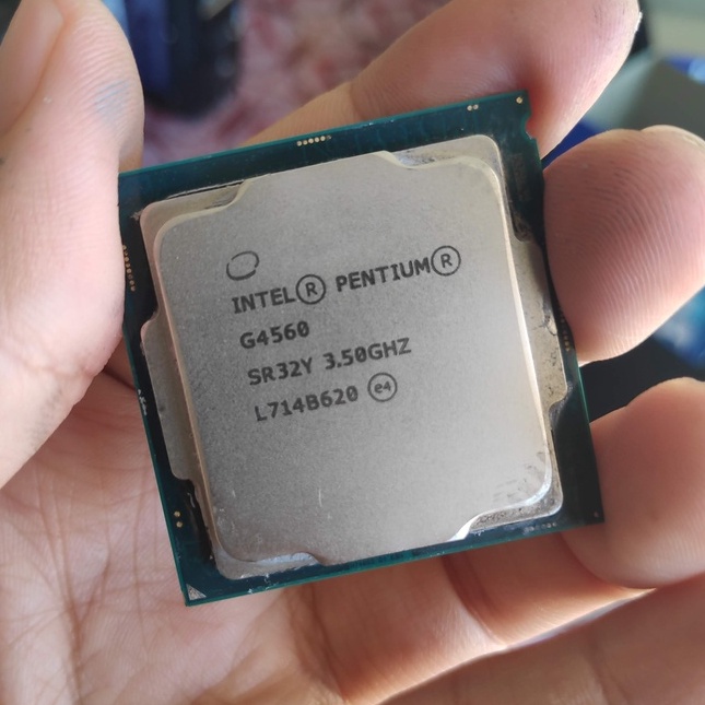 CPU PENTIUM G4560 3.50 GHZ. Socket 1151 มือสอง | Shopee Thailand