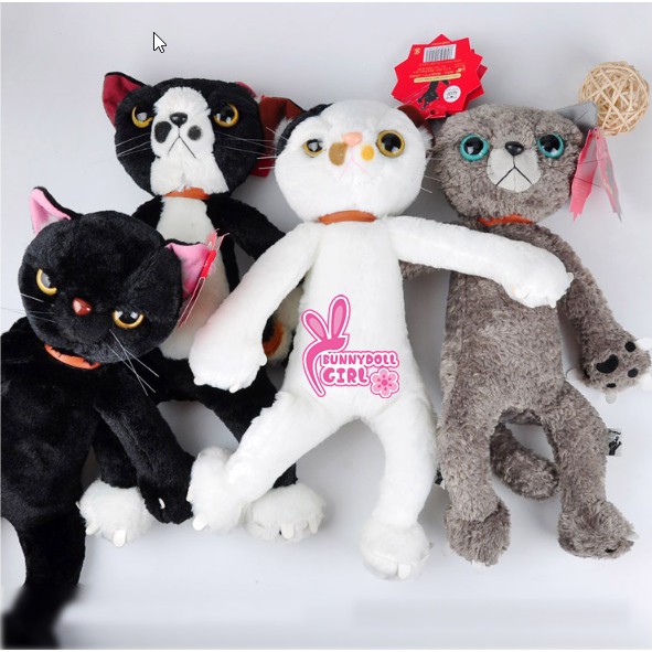 ตุ๊กตาแมวดำ อัดเสียงพูดได้ ตุ๊กตาแมวสุดฮิตจากญี่ปุ่น ของขวัญสำหรับคนรัก ...