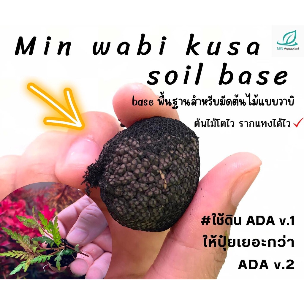 Min wabi kusa soil base ลูกละ 10 ลูกดินวาบิสำเร็จรูป สำหรับมัดกับต้นไม้ ...