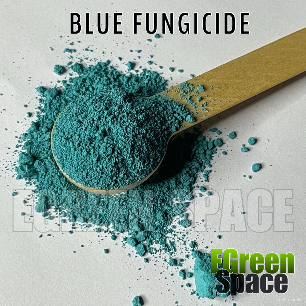 จุดประเทศไทย BLUE FUNGICIDE - 50gramsเมล็ดอวบอ้วน 100 รอคอยที่จะให้ความ ...