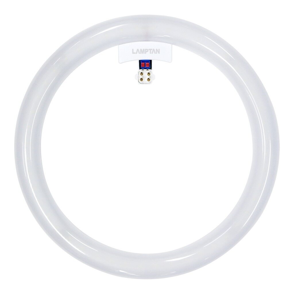 LAMPTAN หลอดไฟ LED 24W วงกลม แสงขาว เปลี่ยนแทนหลอดนีออนกลมได้เลย มีระบบ ...