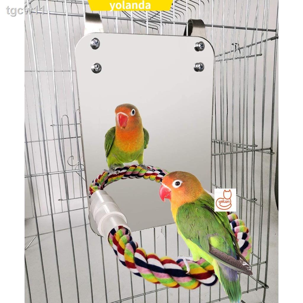 YOLA☆ Pet Products Parrot Toys Chicken Swing Intelligence Training Bird ...