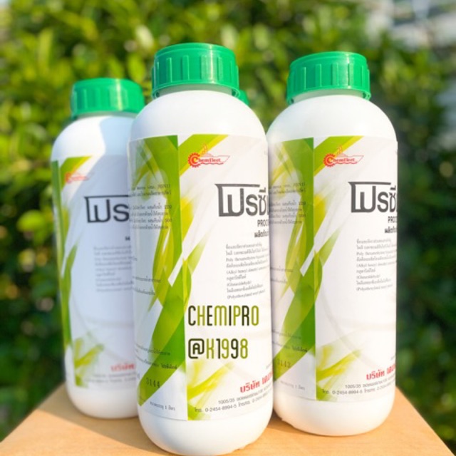 โปรซีเด็กซ์(procidex) [พร้อมส่ง] ผลิตภัณฑ์ทำความสะอาดเชื้อไวรัสและ ...