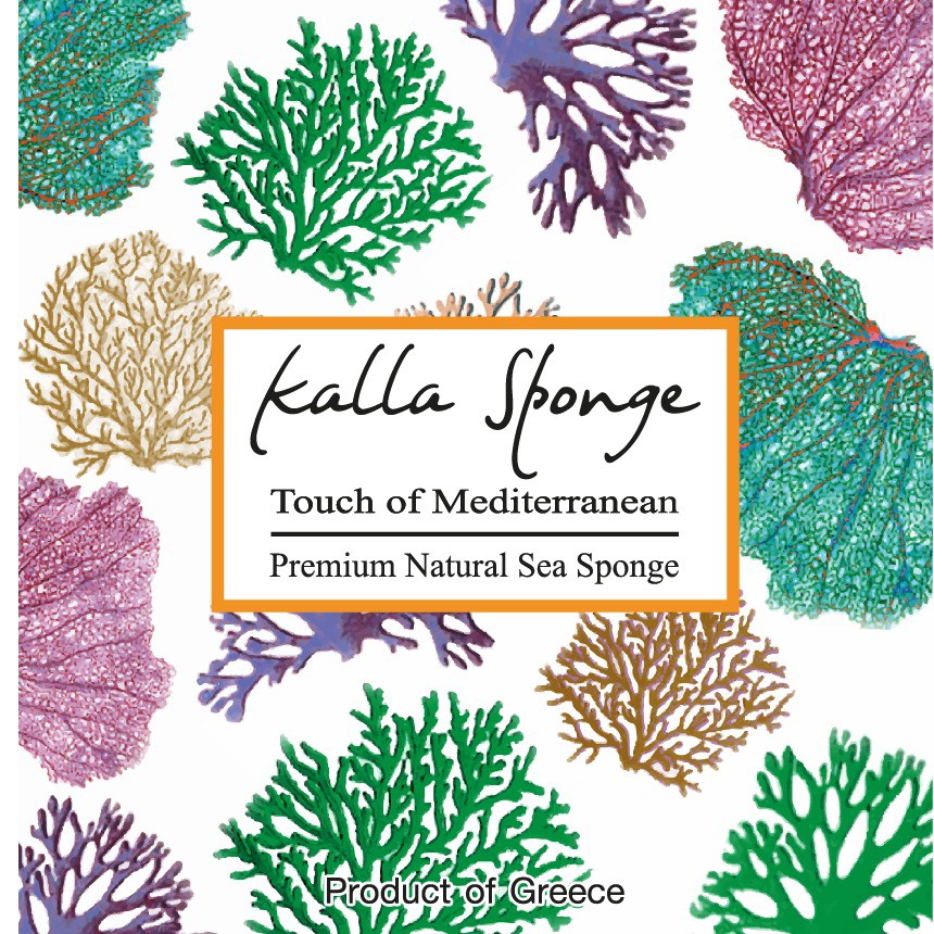 ฟองน้ำธรรมชาติ Kalla Sponge , ร้านค้าออนไลน์ | Shopee Thailand