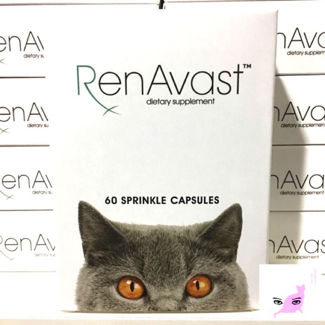 ราคาถูกที่สุด RenAvast CAT อาหารเสริม บำรุงไตแมวพร้อมส่ง - fahsaidcc ...