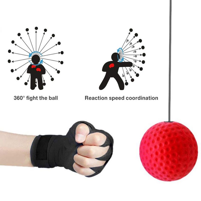 มวยBoxing Seed Balls Headmounted U unch Ball MMA Sanda Training Hand ...
