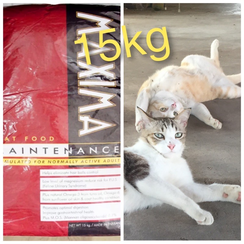 MAXIMA Cat Food อาหารแมว ขนาด 15kg. - hatari_victor - ThaiPick
