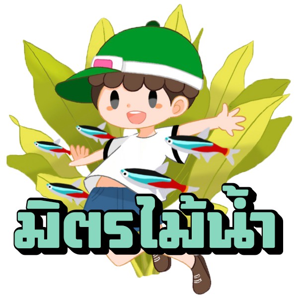 มิตรไม้น้ำ HOBBYFISH, ร้านค้าออนไลน์ | Shopee Thailand