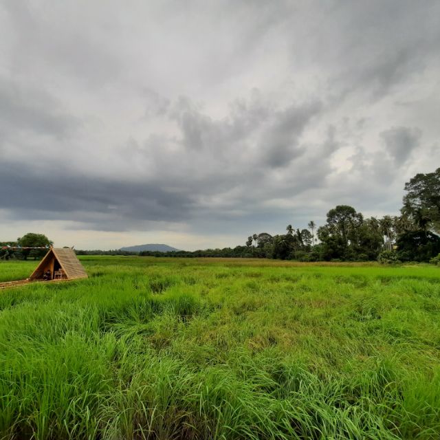 GhostCha.shop97, ร้านค้าออนไลน์ | Shopee Thailand