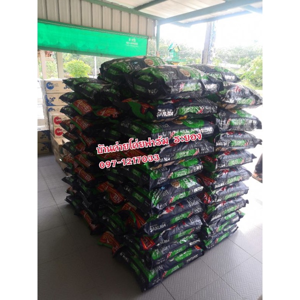 อาหารปลาคาร์ฟ ซากุระโค่ย Steple ถุง 6.5กก. สูตรมาตรฐาน STAPLE FORMULA ...
