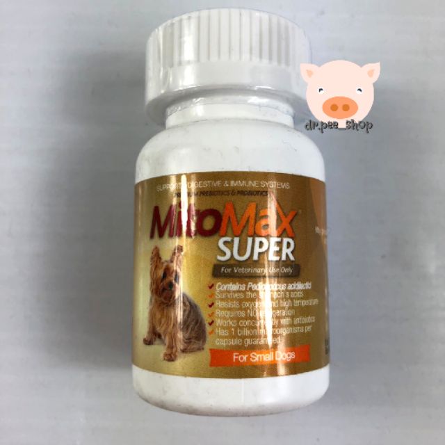 Mitomax super small dog(mito max) | Shopee Thailand