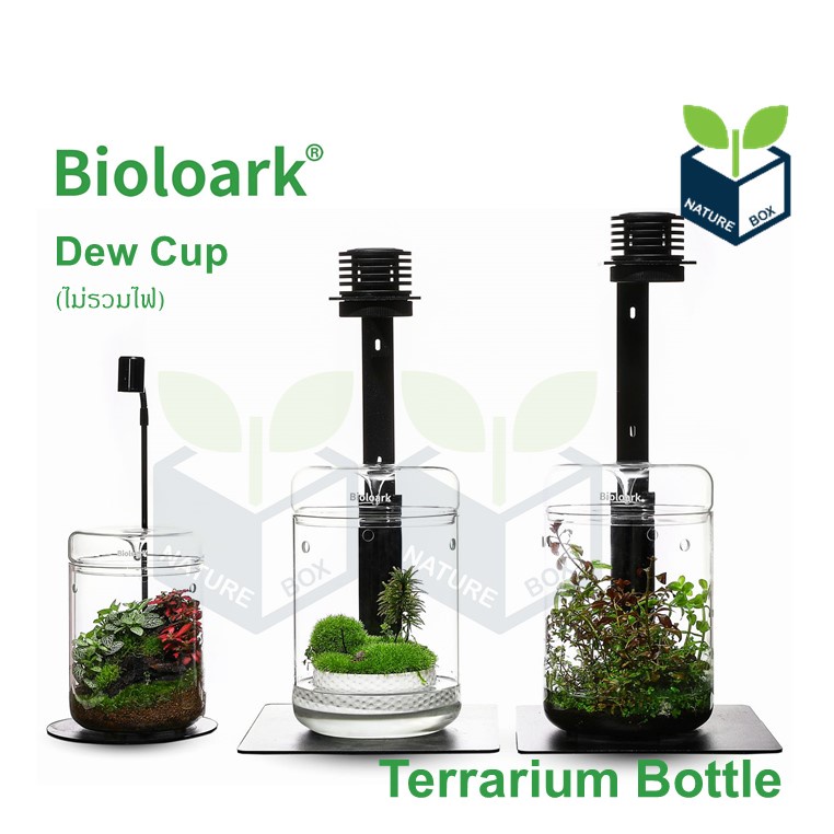 Bioloark Dew Cup Terrarium Bottle (Biolark) (มีสินค้าพร้อมส่ง) ไบโอลาร์ ...