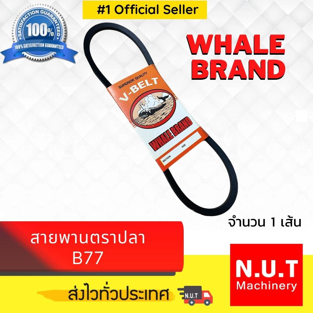 สายพาน B77 V-BELT ร่อง B ร่องเรียบ | Shopee Thailand