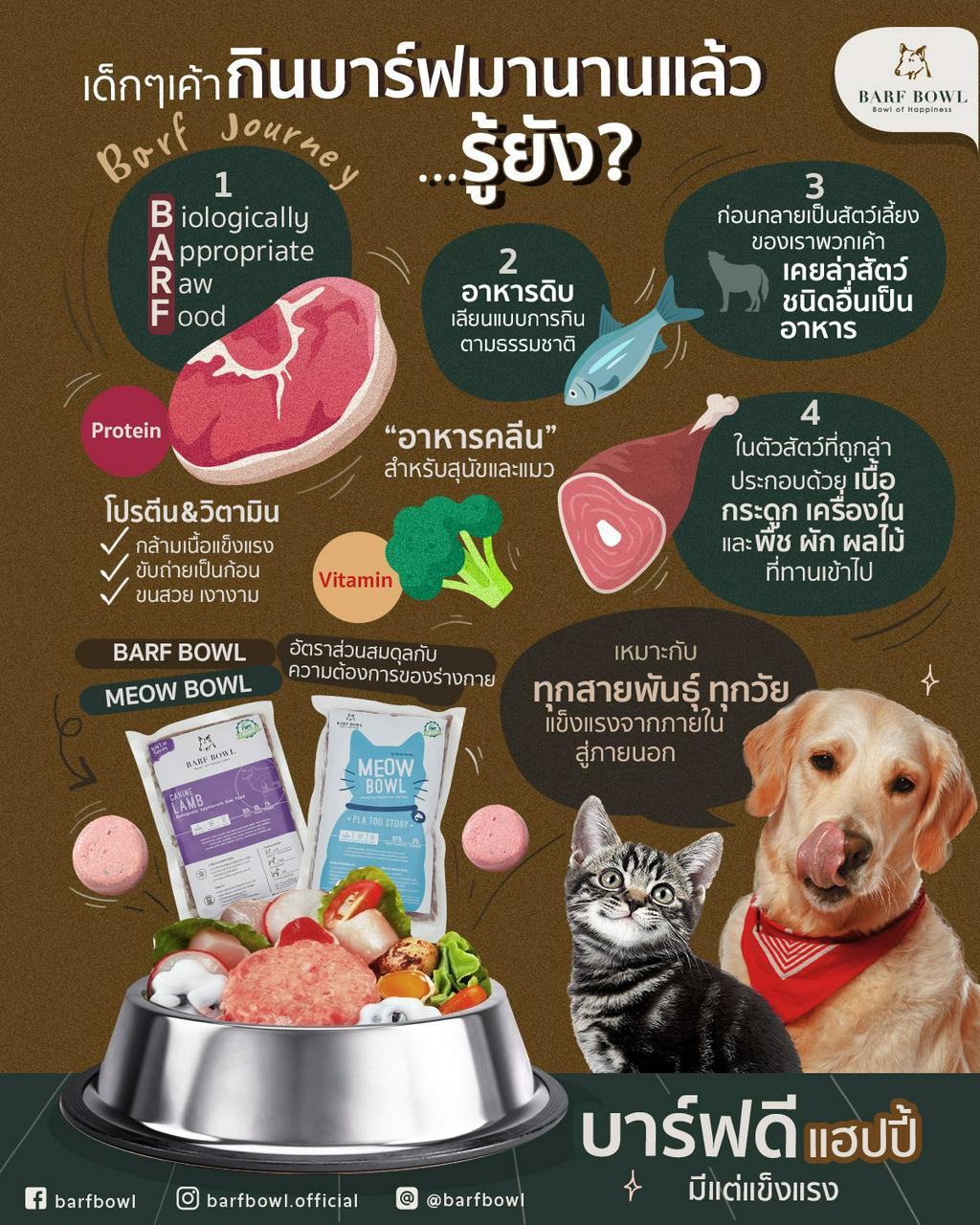 BARF BOWL, ร้านค้าออนไลน์ | Shopee Thailand