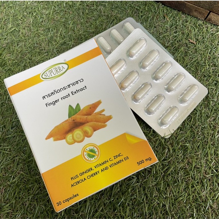 Supurra Finger Root Extract สารสกัดกระชายขาว เสริมภูมิคุ้มกันร่างกาย 1 ...