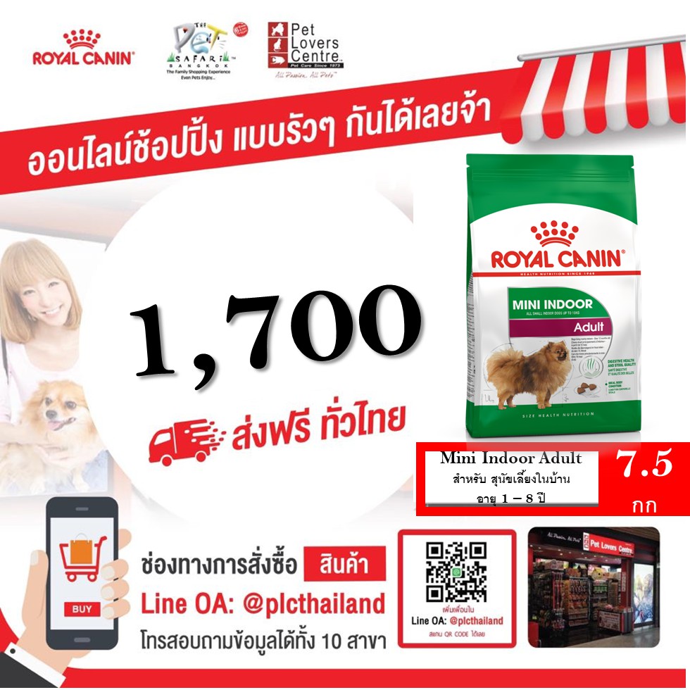 Royal Canin Mini Indoor Adult - plcthailand - ThaiPick