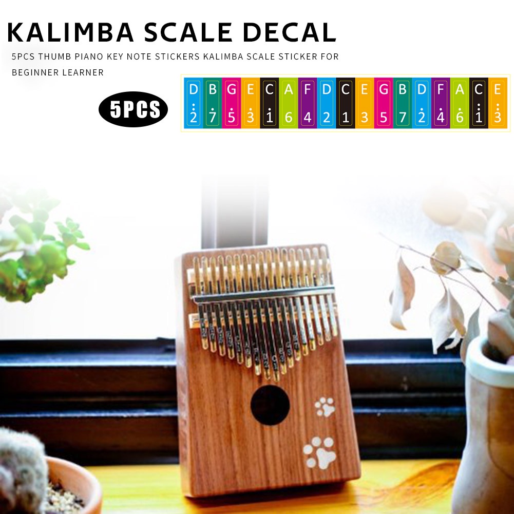 อุปกรณ์ดนตรี:5cs Kalimba Scale Key Note Sticker Finger iano arts Musical trument Thumb ...