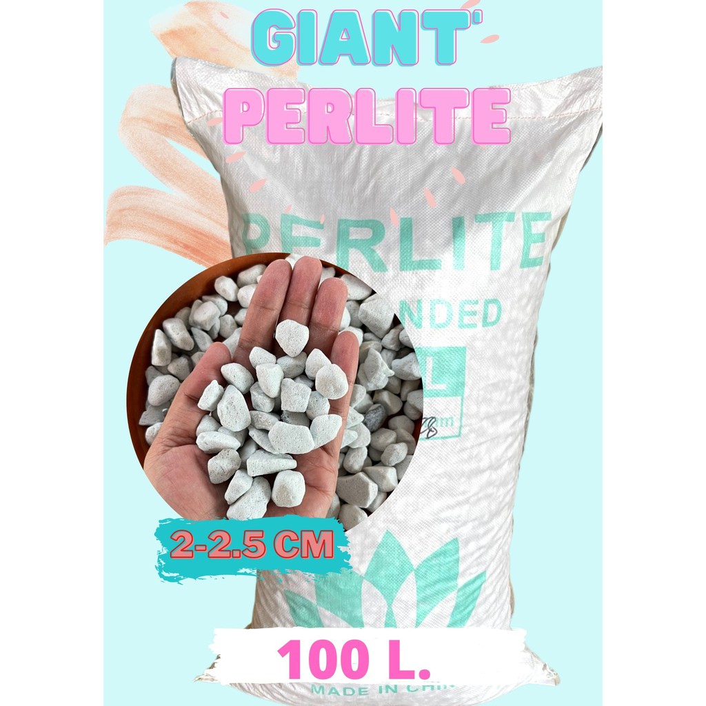 Giant Perlite เพอร์ไลท์ เม็ดบิ๊ก ขนาด 2-2.5cm สำหรับใช้ปลูกต้นไม้ ...