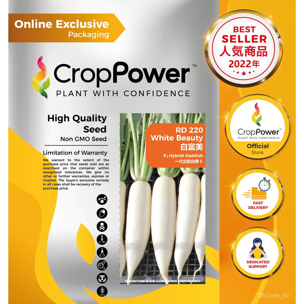 จุดประเทศไทย Biji Benih Lobak Putih Radish seeds หัวผักกาดขาวเมล็ด CROP ...