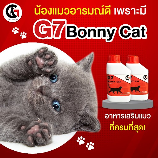 G7 Bonny Cat ขั้นสุดของการบำรุงเจ้าเหมียว - kookkik.wachida - ThaiPick