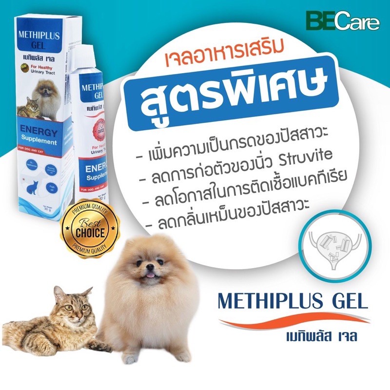 METHIPLUS GEL เมทิพลัสเจล อาหารเสริมแมว ช่วยละลายนิ่ว ป้องกันการเกิด ...