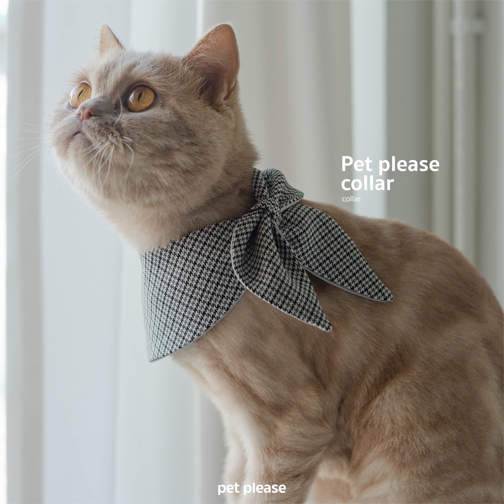 ผ้าพันคอสัตว์เลี้ยง ปลอกคอ l petplease - petplease.market - ThaiPick