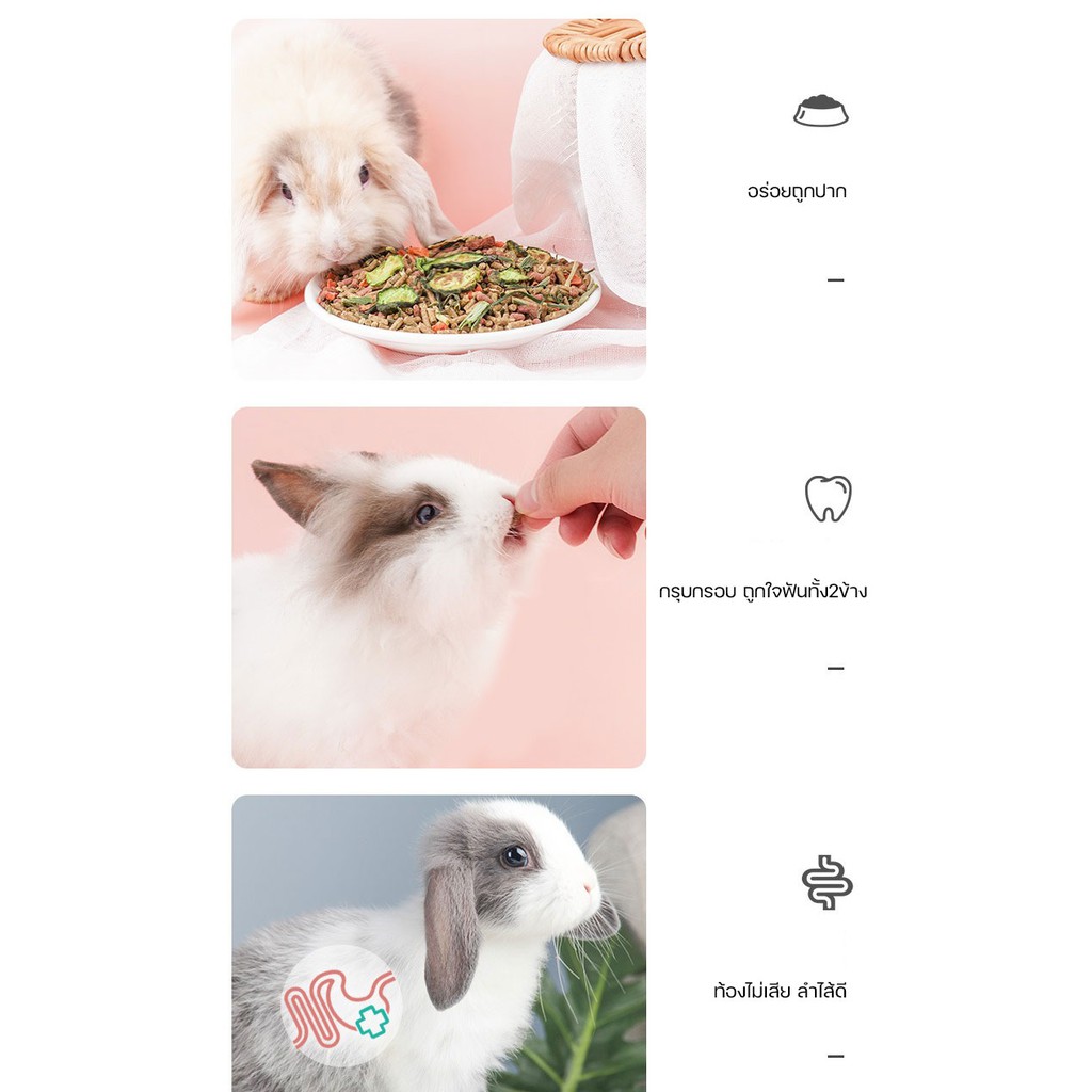 Petaholic อาหารกระต่าย แกสบี้ 2.4kg (CST204)หนูตะเภา หนูขวัญ หนู สัตว์ ...