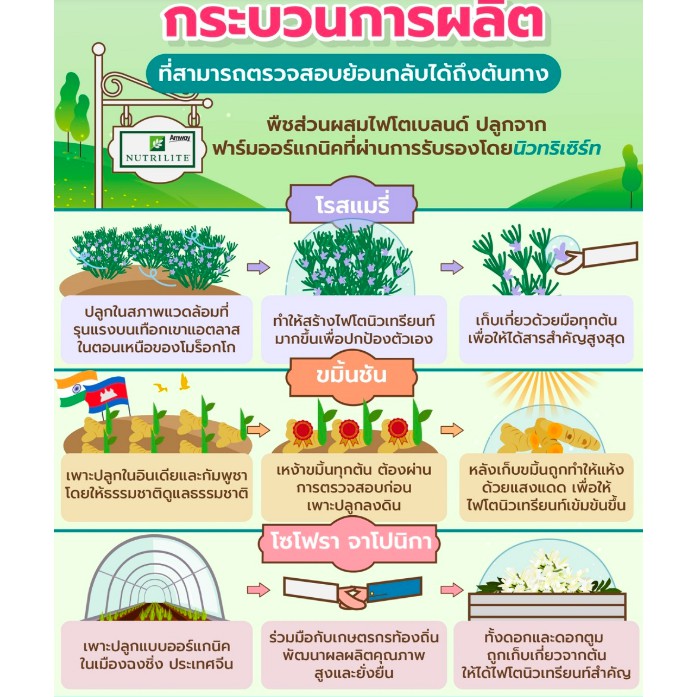 นิวทริไลท์ ดับเบิ้ลเอ็กซ์ ไฟโตเบลนด์ Nutrilite Double X Phytoblend ...