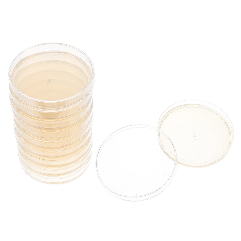 Potato Dextrose Agar Plates: 10pcs Prepoured PDA Petri Dishes for ...