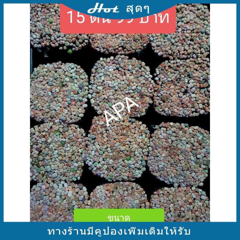 Litop ถูกที่สุด พร้อมโปรโมชั่น - พ.ย. 2021 | BigGo เช็คราคาง่ายๆ