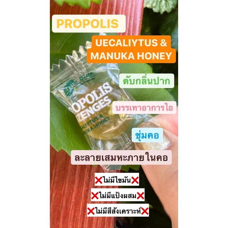 True Blue Propolis Manuka Honey Eucalyptus Lozenges 800g- 180 เม็ด ...