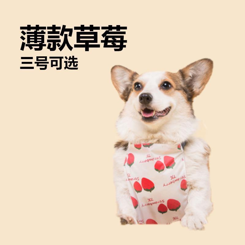 สุนัข dudou กันน้ำ อบอุ่น เย็น และสกปรก Corgi เสื้อผ้าสำหรับสัตว์เลี้ยง ...