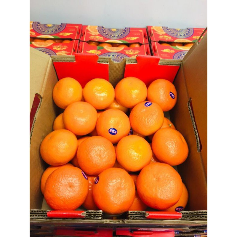 ส้มแมนดาริน ไต้หวัน Mandarin Orange Taiwan XL (ยกลัง 4.5-5 กก.) Size XL ...