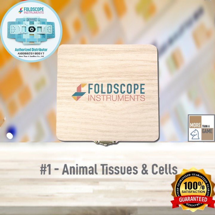 Foldscope Prepared Slide Box Set #1 - Animal Tissues & Cells หมวดเซลล์ ...