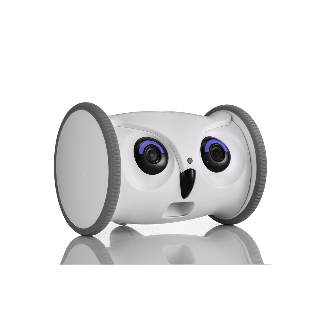 พร้อมส่งประกันมอเตอร์และบอร์ด 1 ปี Owl Robot หุ่นยนต์เพื่อนซี้น้องหมา ...