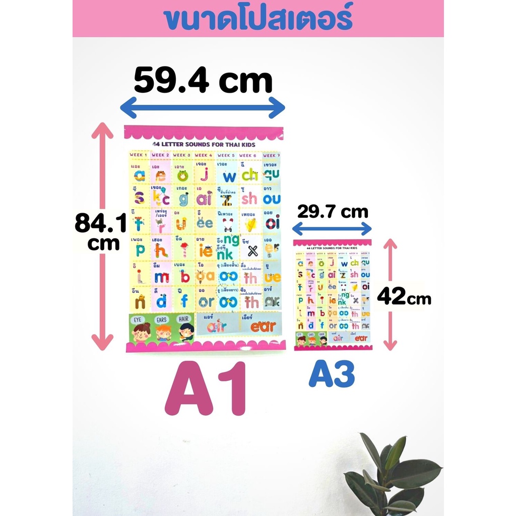 โปสเตอร์ขนาด A1 /26 Alphabet Sounds - engbrain - ThaiPick