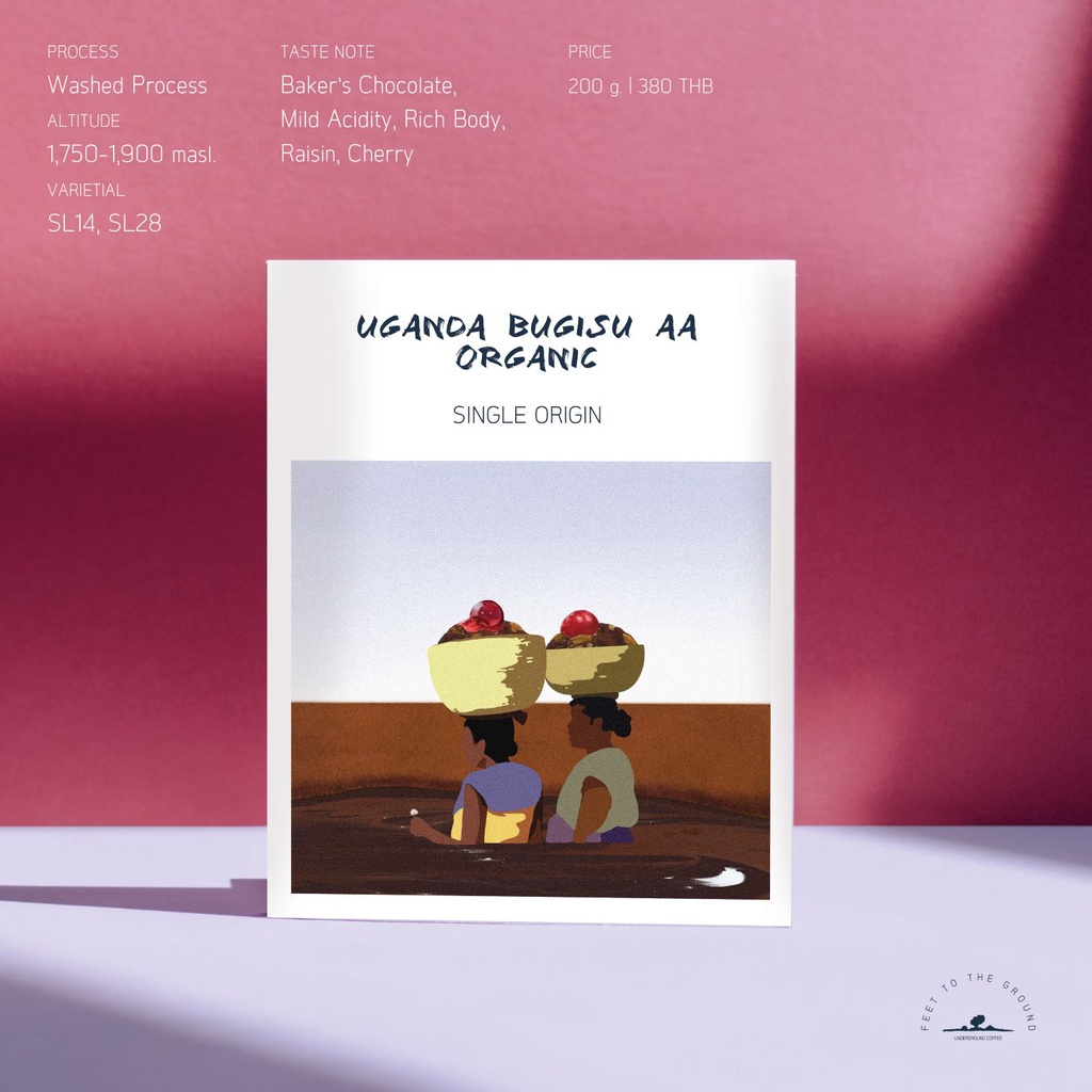 เมล็ดกาแฟ Uganda Bugisu AA Organic - Washed Process ช๊อกโกแล็ต เชอร์รี่ ...