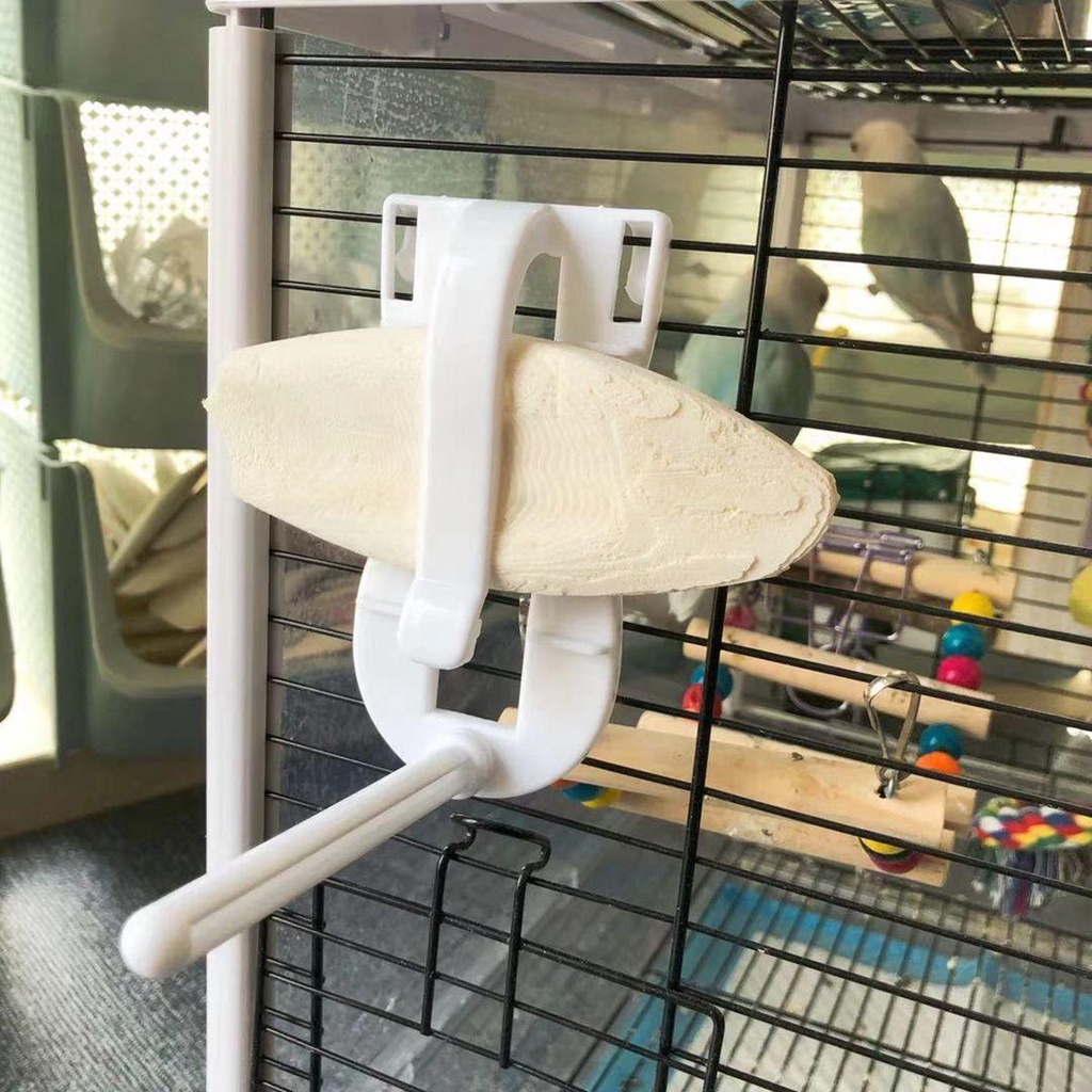 MALCOLM Cockatiel Cuttlebone Clip Parakeet Parrot Feeder Bird Food ...