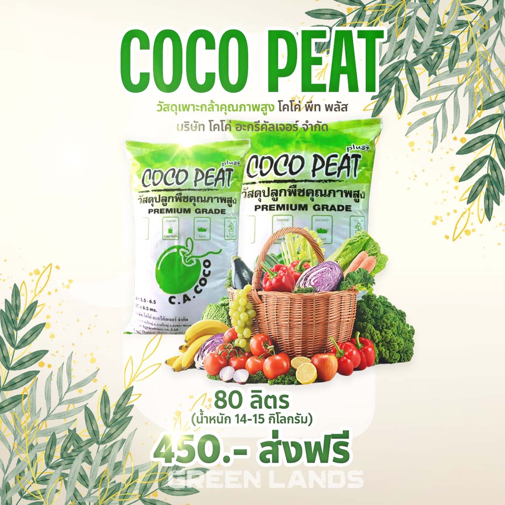 Coco peat plus วัสดุปลูกพืชคุณภาพสูง โคโค่พีท พลัส 80 ลิตร ส่งฟรี ...