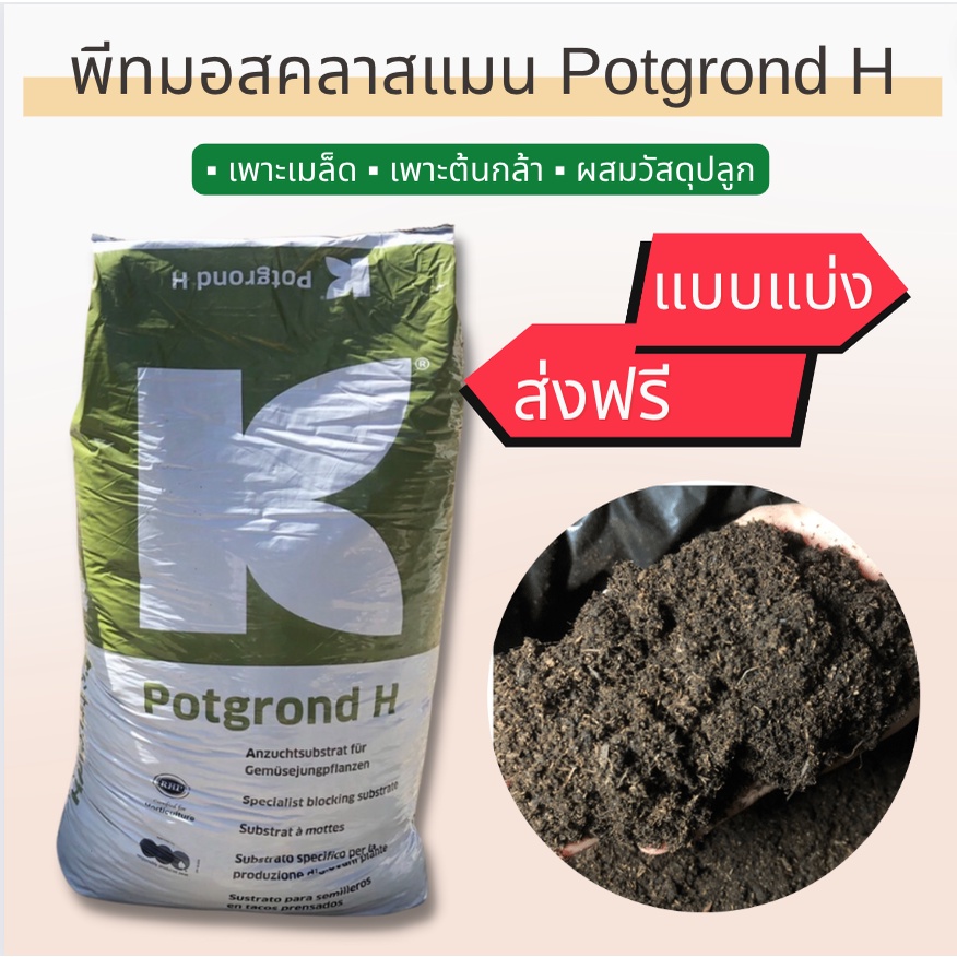 วัสดุเพาะกล้า พีทมอสสำหรับเพาะต้นกล้า Potgrond H คลาสแมน (klasmann ...