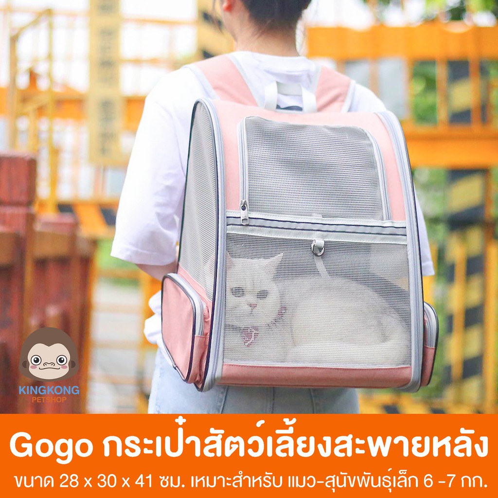 Ursolin เออร์โซลิน 250 mg 1แผง10เม็ด ยกกล่อง10แผง ช่วยขยายท่อนำดี สุนัข ...