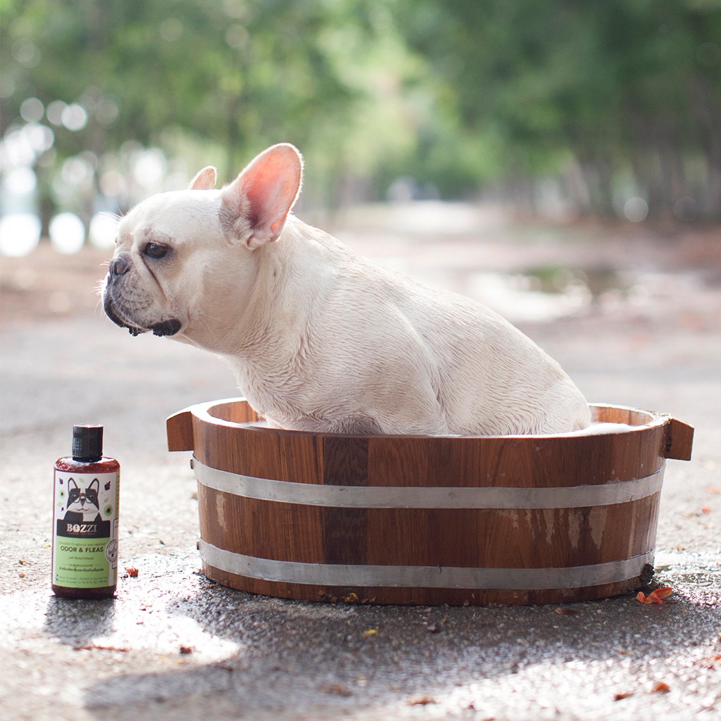 BOZZI Dog Shampoo แชมพูสมุนไพรสำหรับสุนัข สูตรขจัดกลิ่นตัวและป้องกัน ...