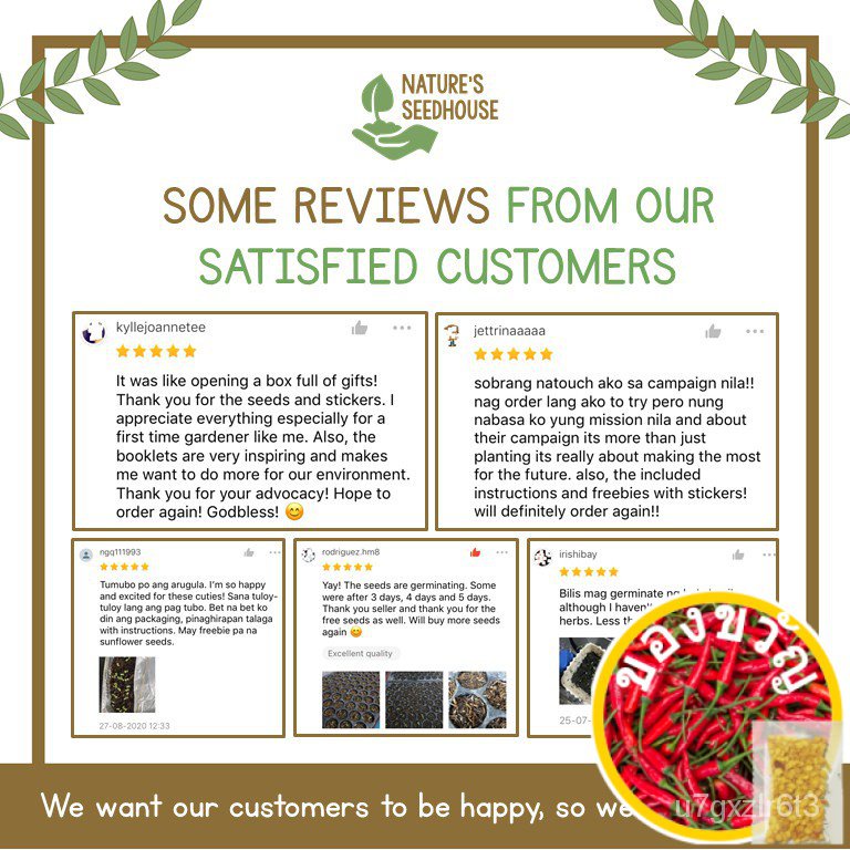 Red Amaranth Seeds Kulitis Seeds Herb Seeds Vegetable Seeds Plant Seeds ...