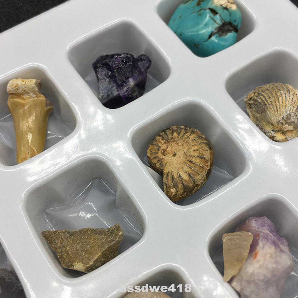 Craft Durable Ornament Teaching Materials Useful Ore Set - assdwe418.th ...