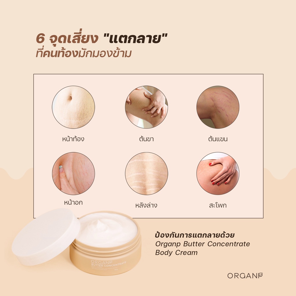 Butter Concentrate Body Cream - organp.th - ThaiPick